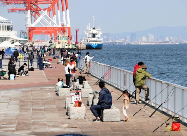 六アイの海釣り解禁なるか 実証実験に1100人参加 有料化も選択肢｜東灘話題｜神戸新聞NEXT