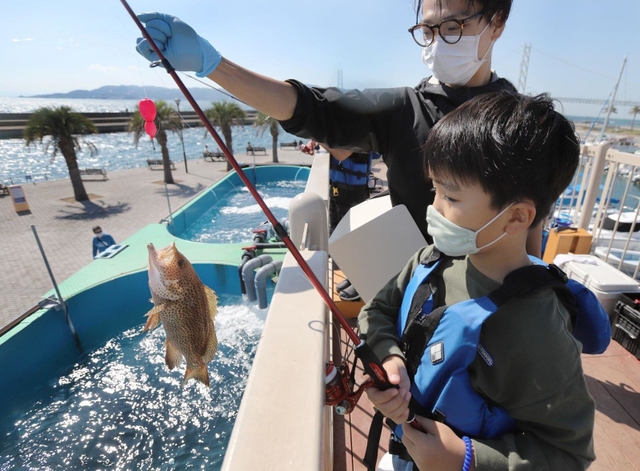 さかなの学校の釣り堀人気 手ぶらでアジやサバ釣り、その場で調理も マリンピア神戸 | 神戸 | 神戸新聞NEXT